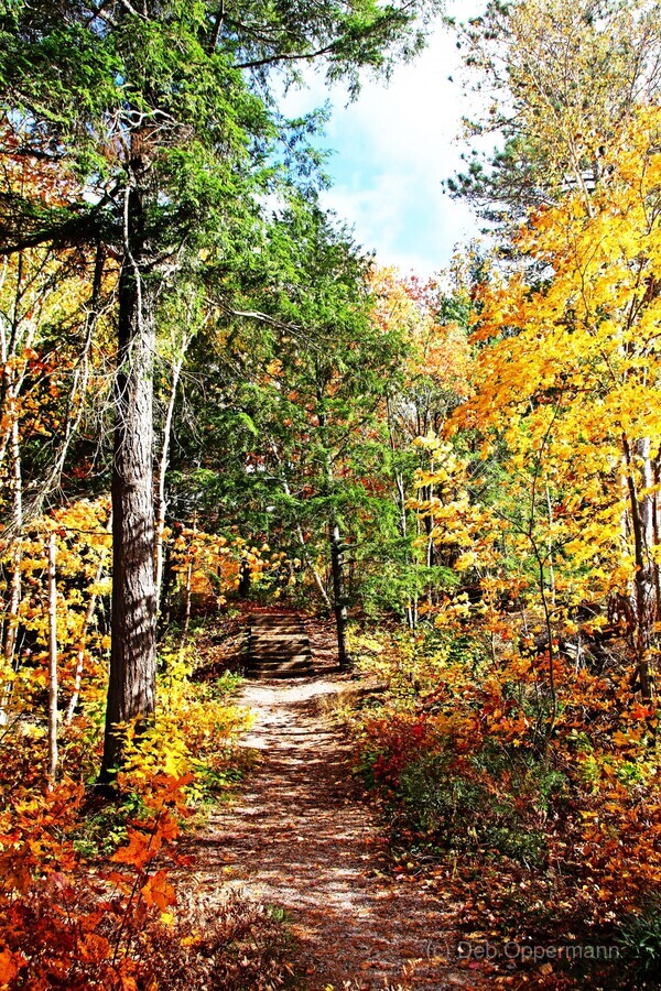 Step Into Fall By Deb Oppermann Wall Art